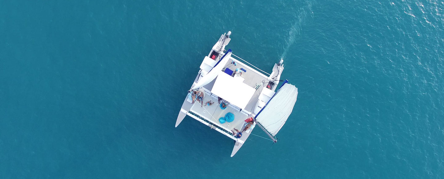 Catamaran à voile "Turbo Cat"